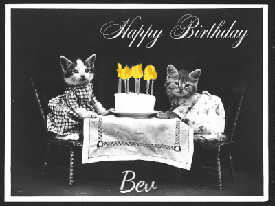 Happy Birthday Bev GIF 4