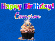 Happy Birthday Cameron GIFs