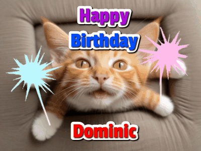 Happy Birthday Dominic GIF 36