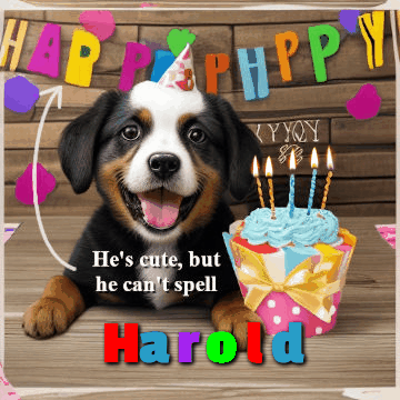 Happy Birthday Harold GIF 81