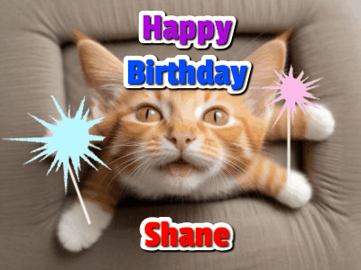 Happy Birthday Shane GIF 35