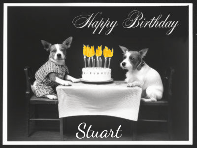 Happy Birthday Stuart GIF 10