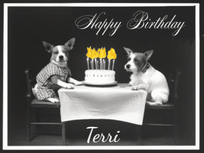 Happy Birthday Terri Memes Meme Maker HAPPY BIRTHDAY MARKKU Here Is