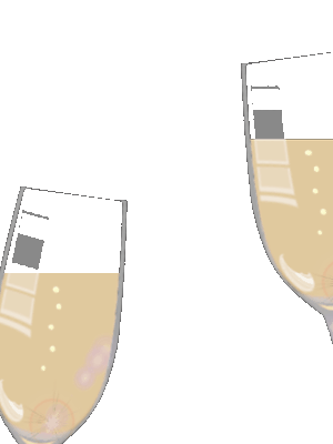 Champagne Birthday Toast